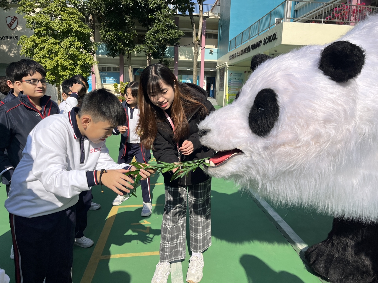 Panda Delight 2024-2025 | Sir Ellis Kadoorie (S) Primary School