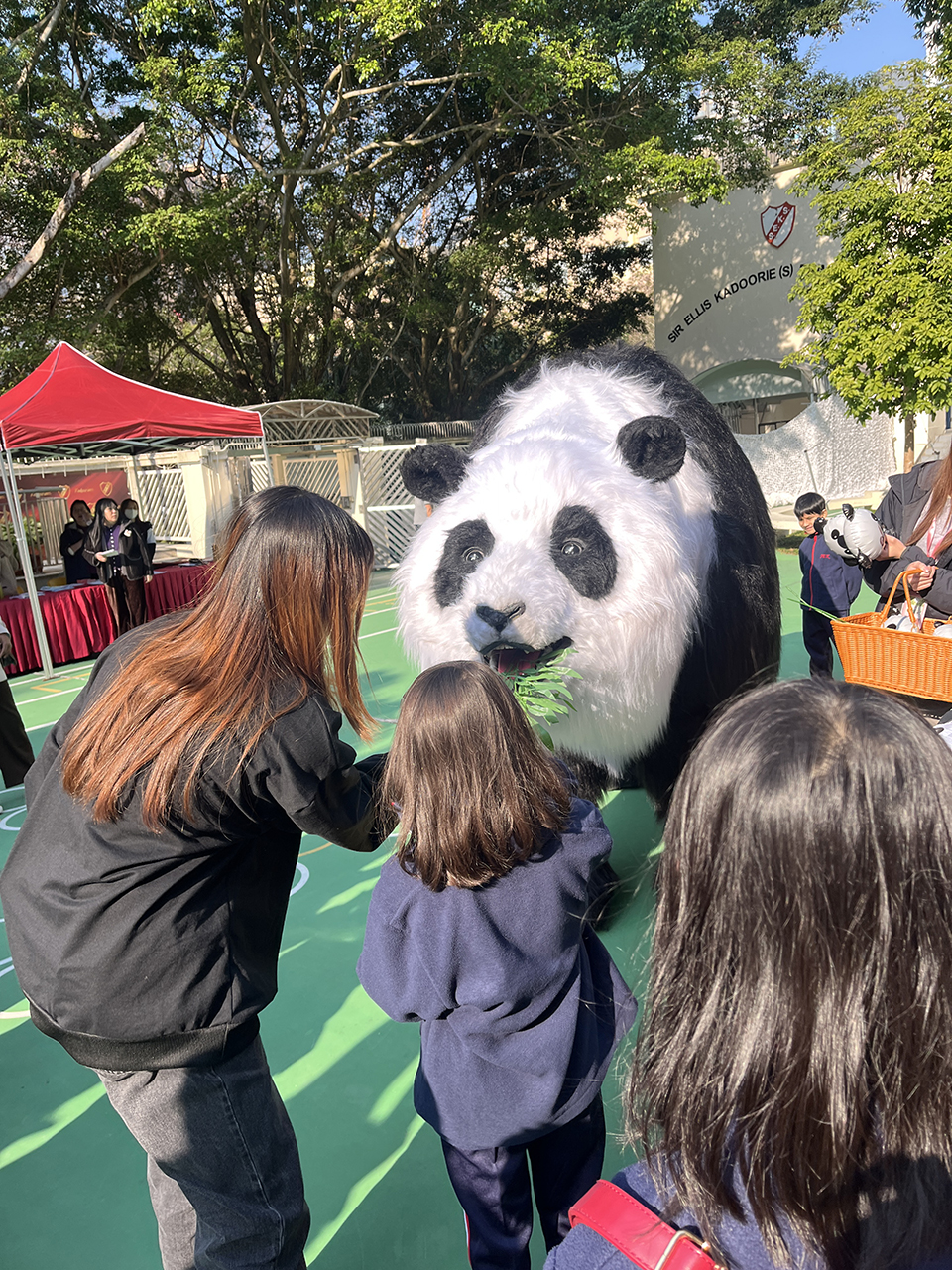 Panda Delight 2024-2025 | Sir Ellis Kadoorie (S) Primary School