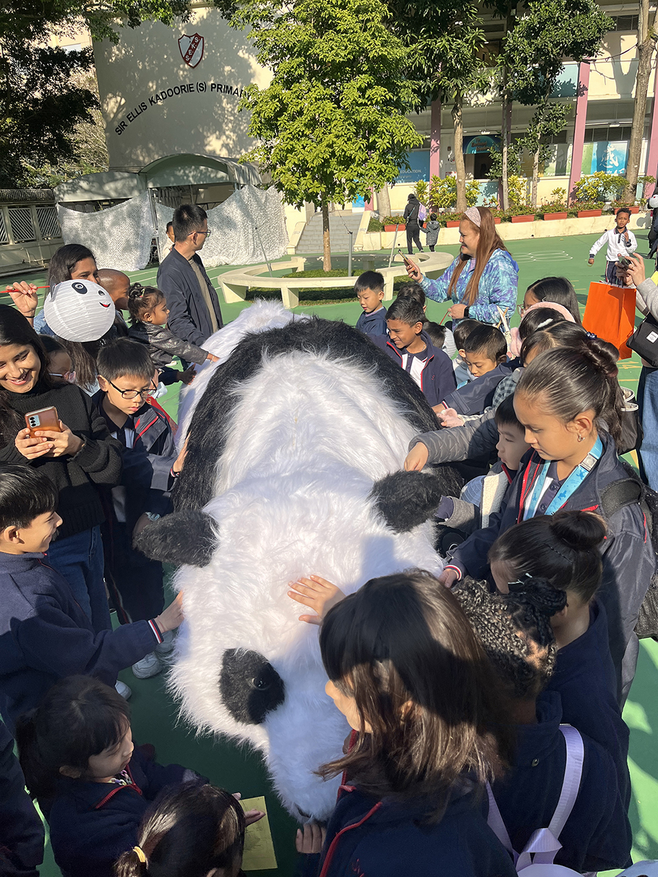 Panda Delight 2024-2025 | Sir Ellis Kadoorie (S) Primary School