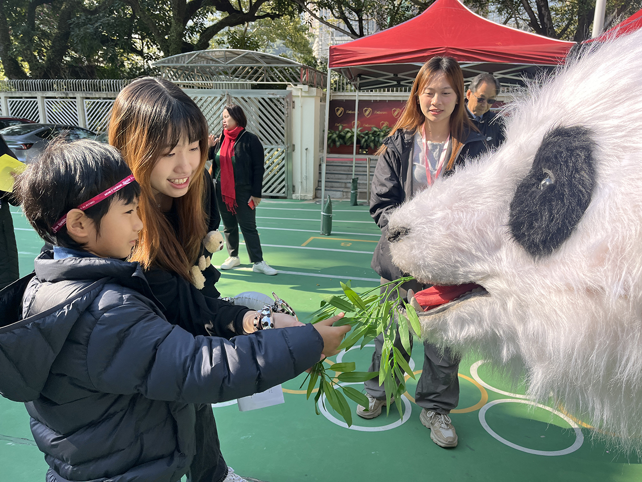 Panda Delight 2024-2025 | Sir Ellis Kadoorie (S) Primary School