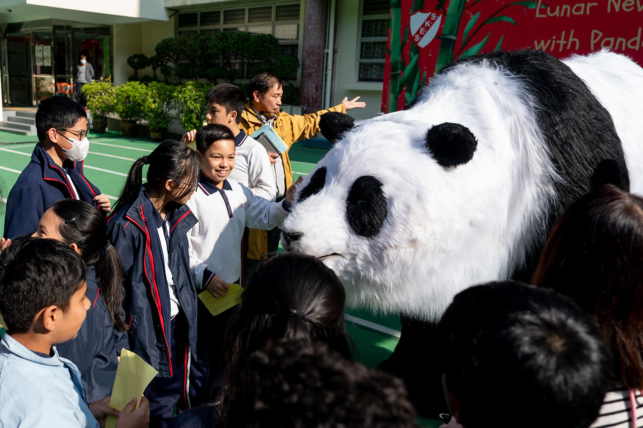 Panda Delight 2024-2025 | Sir Ellis Kadoorie (S) Primary School