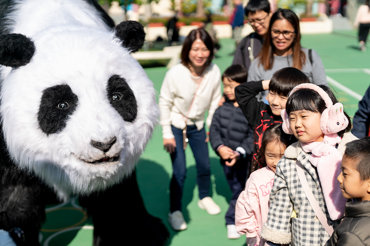 Panda Delight 2024-2025 | Sir Ellis Kadoorie (S) Primary School