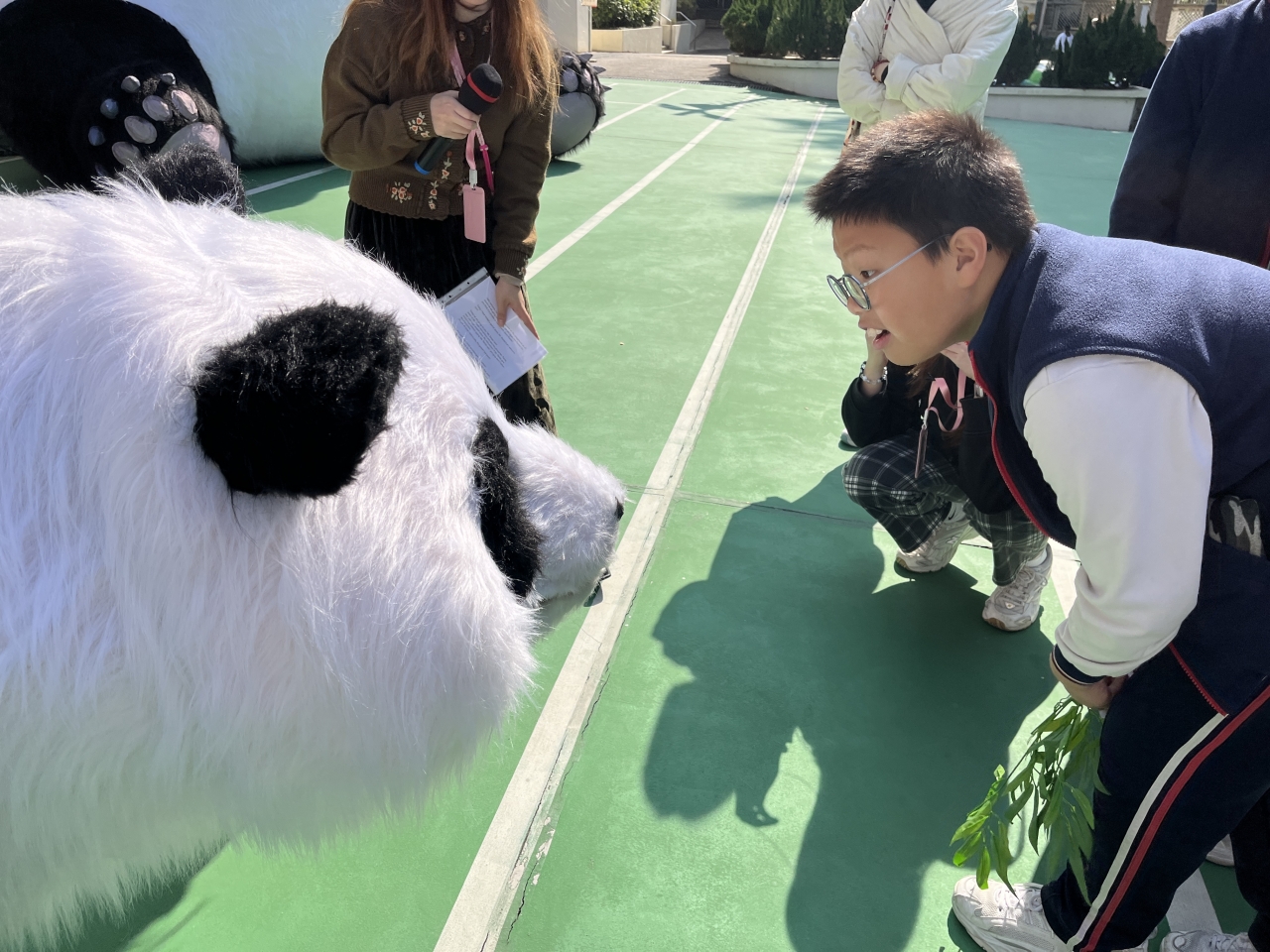 Panda Delight 2024-2025 | Sir Ellis Kadoorie (S) Primary School