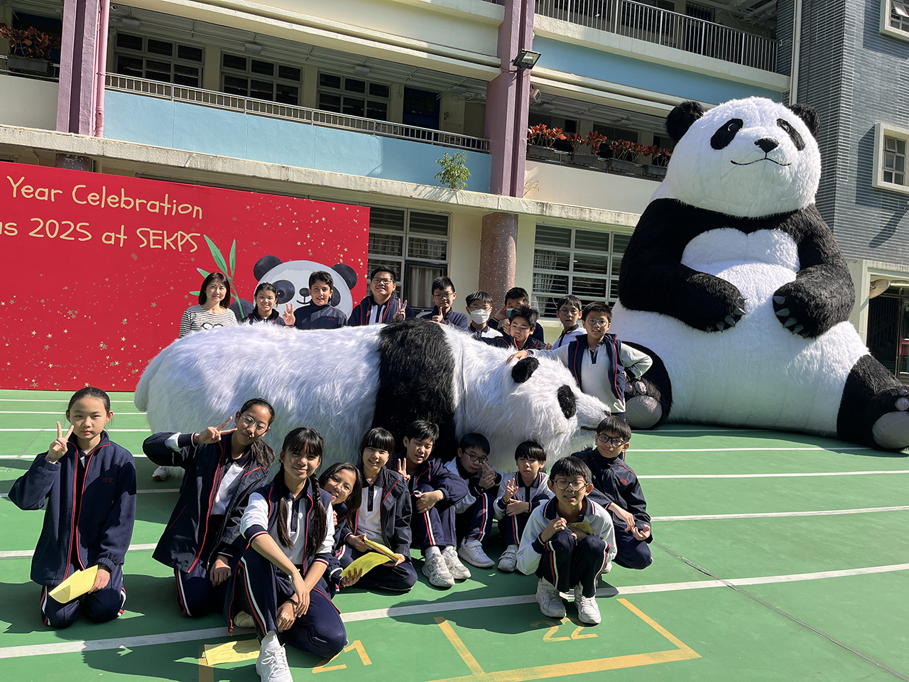 Panda Delight 2024-2025 | Sir Ellis Kadoorie (S) Primary School