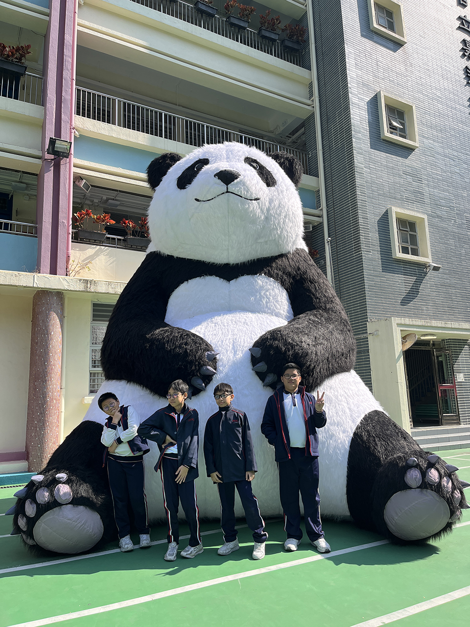 Panda Delight 2024-2025 | Sir Ellis Kadoorie (S) Primary School
