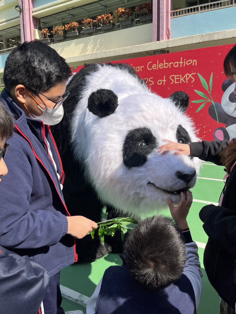 Panda Delight 2024-2025 | Sir Ellis Kadoorie (S) Primary School