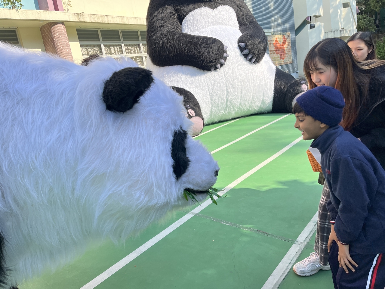 Panda Delight 2024-2025 | Sir Ellis Kadoorie (S) Primary School