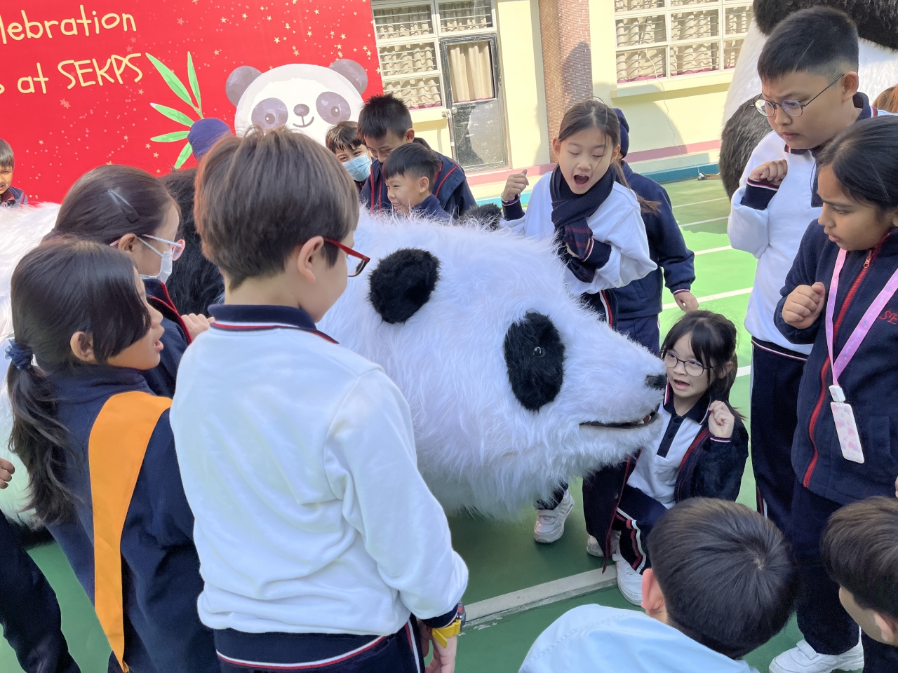 Panda Delight 2024-2025 | Sir Ellis Kadoorie (S) Primary School