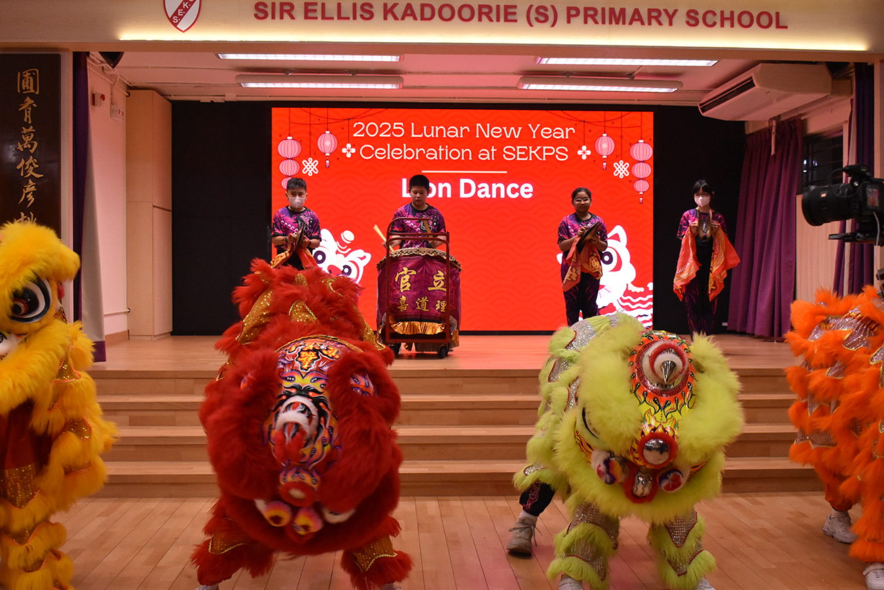 Panda Delight 2024-2025 | Sir Ellis Kadoorie (S) Primary School