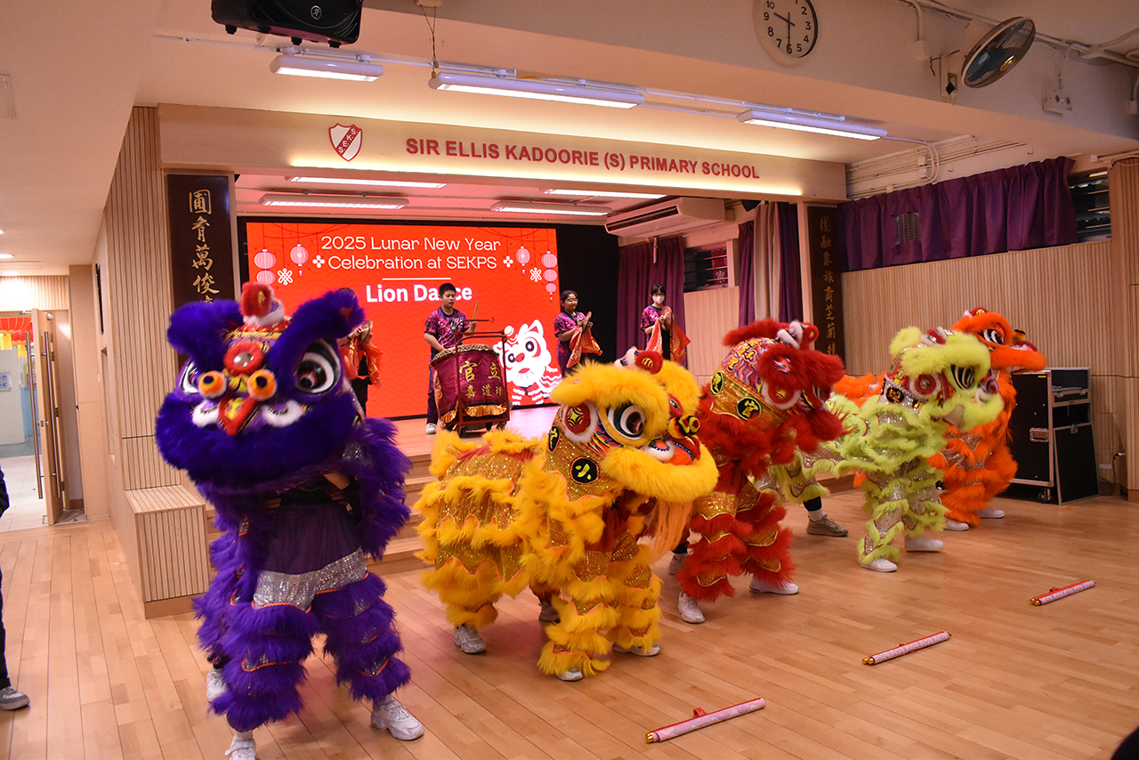 Panda Delight 2024-2025 | Sir Ellis Kadoorie (S) Primary School