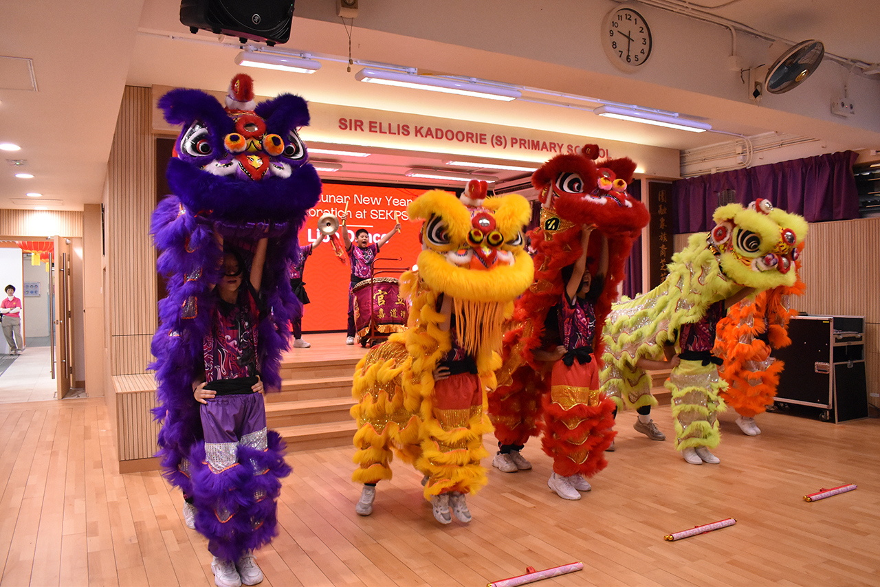 Panda Delight 2024-2025 | Sir Ellis Kadoorie (S) Primary School