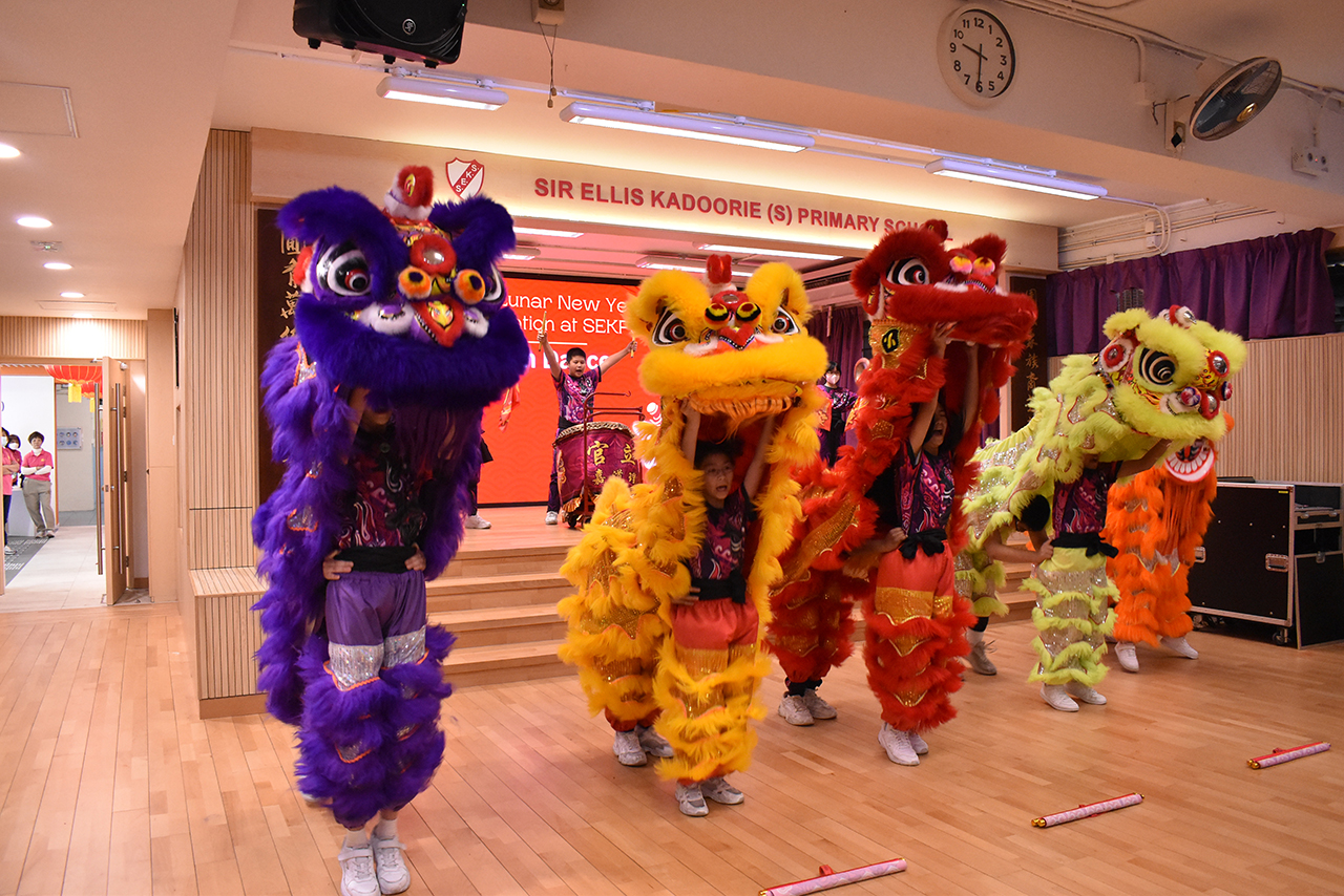 Panda Delight 2024-2025 | Sir Ellis Kadoorie (S) Primary School