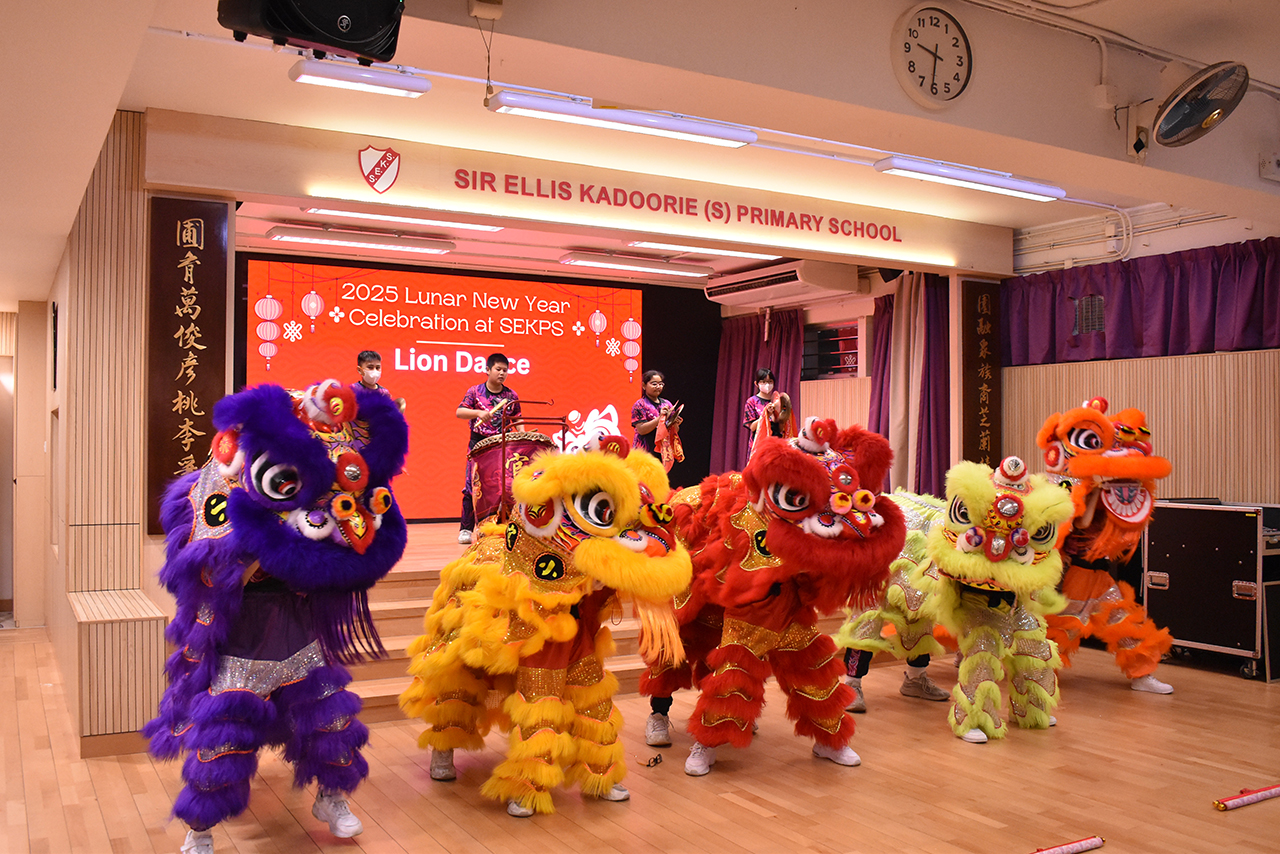 Panda Delight 2024-2025 | Sir Ellis Kadoorie (S) Primary School