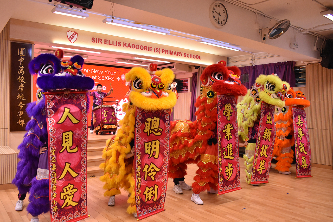 Panda Delight 2024-2025 | Sir Ellis Kadoorie (S) Primary School