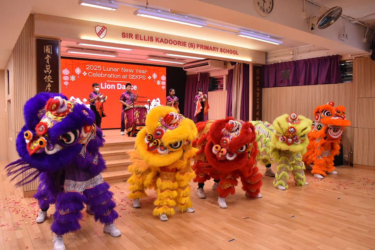 Panda Delight 2024-2025 | Sir Ellis Kadoorie (S) Primary School