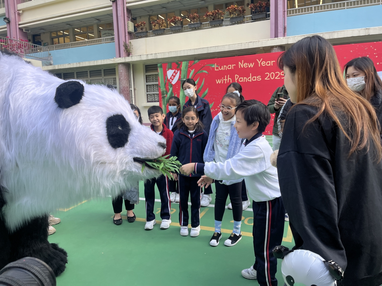 Panda Delight 2024-2025 | Sir Ellis Kadoorie (S) Primary School