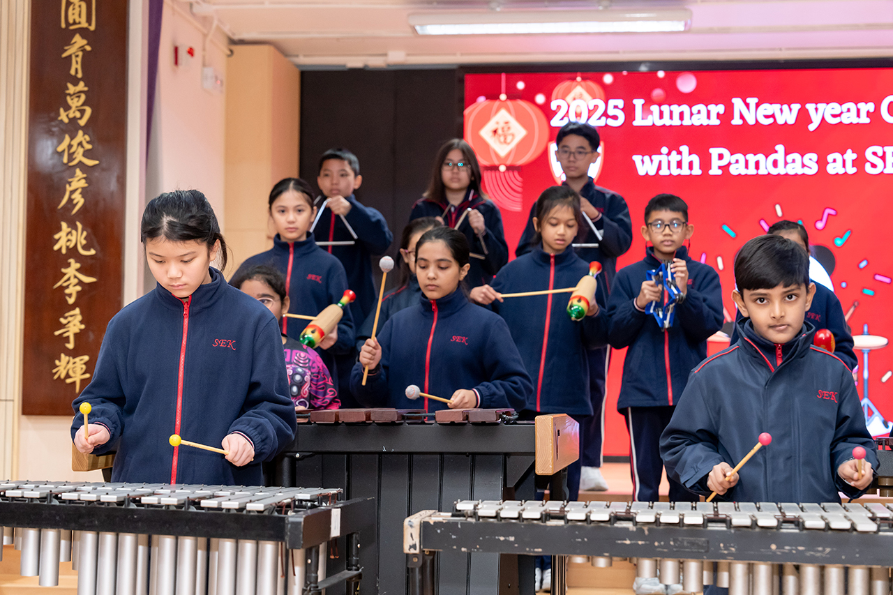 Panda Delight 2024-2025 | Sir Ellis Kadoorie (S) Primary School