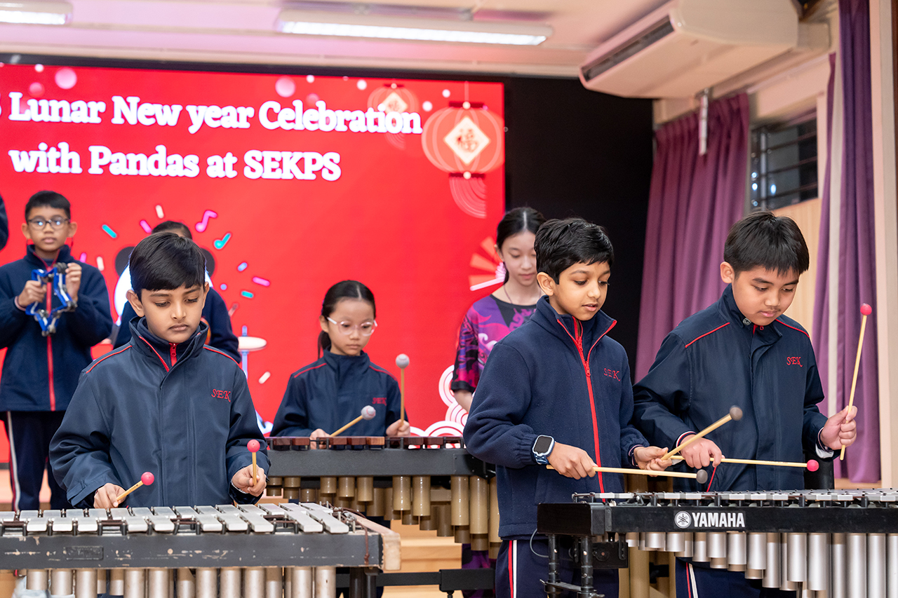 Panda Delight 2024-2025 | Sir Ellis Kadoorie (S) Primary School