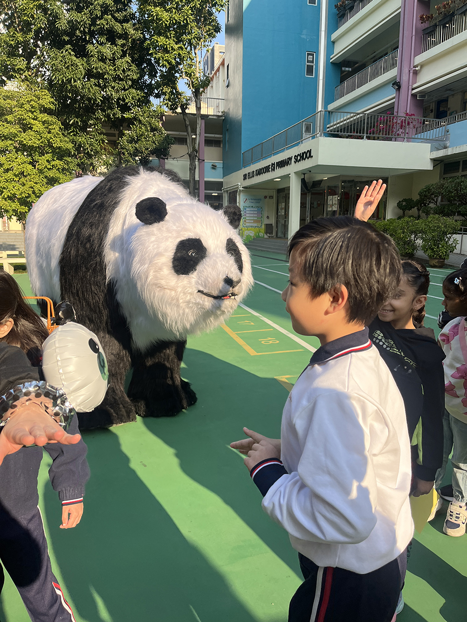 Panda Delight 2024-2025 | Sir Ellis Kadoorie (S) Primary School
